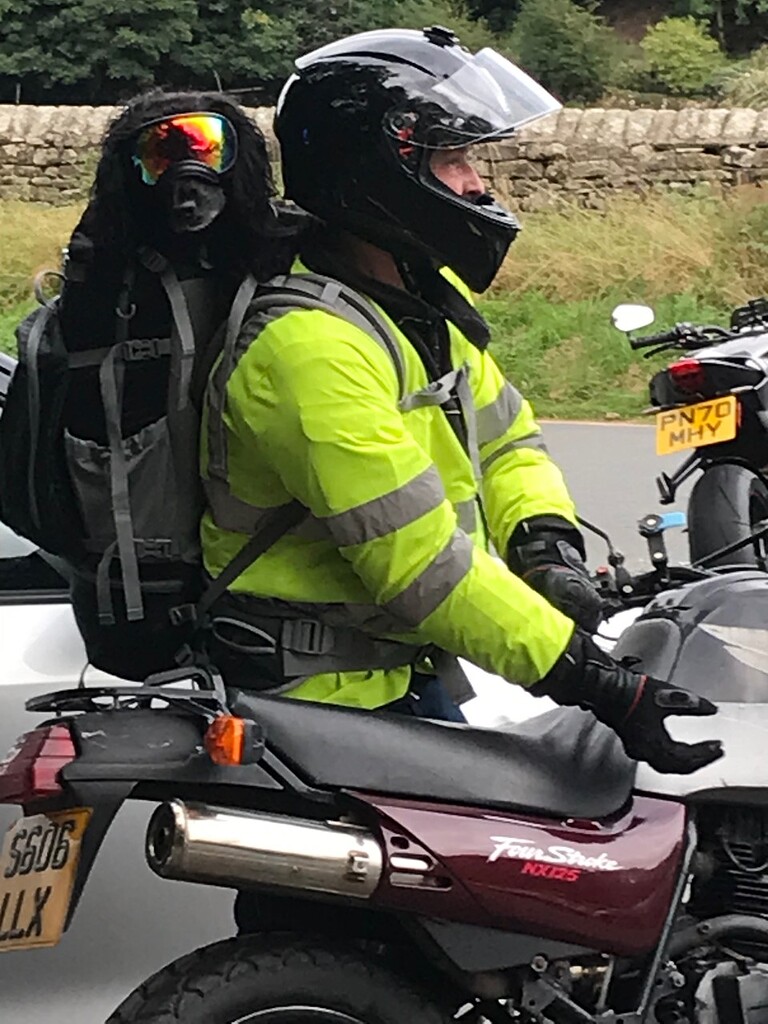 Cooler than a refrigerated cucumber - The Speakeasy - Triumph ...